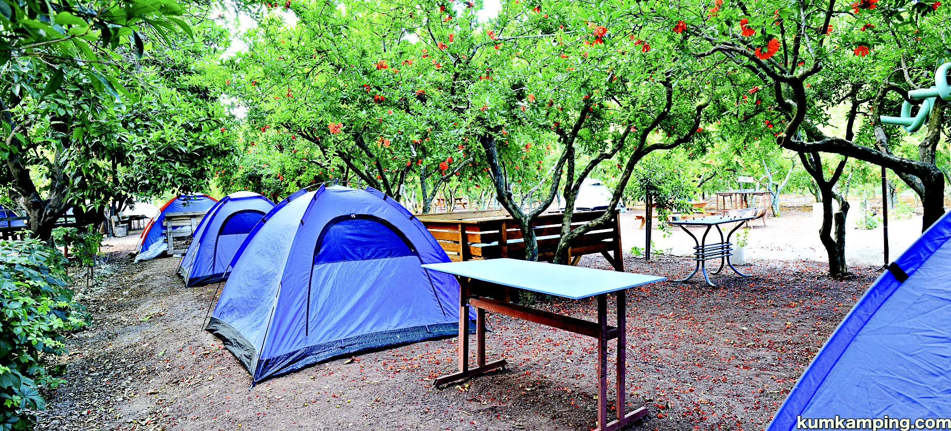 Kamp fotoğrafları – Kum Kamping